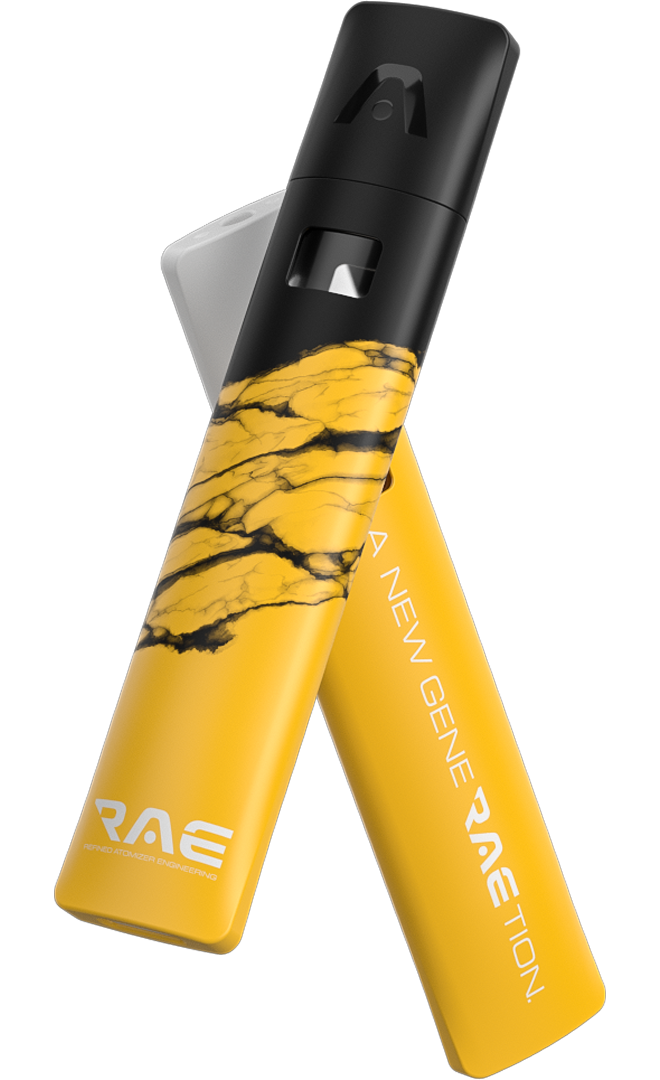 Ceramic Core Empty Disposable Vapes | RAE Vapes